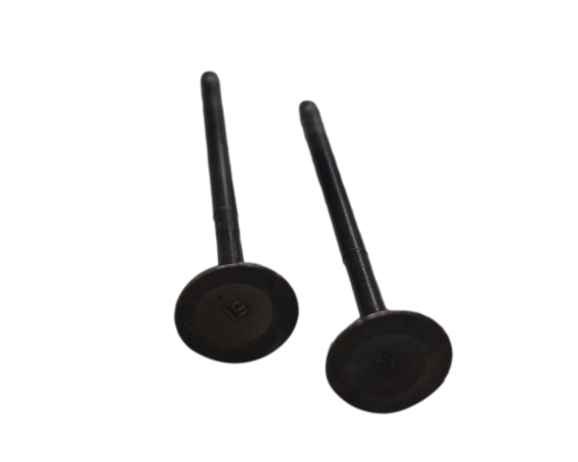 Bajaj Pulsar 125 Ns Original Intake Valve | Mundimotos